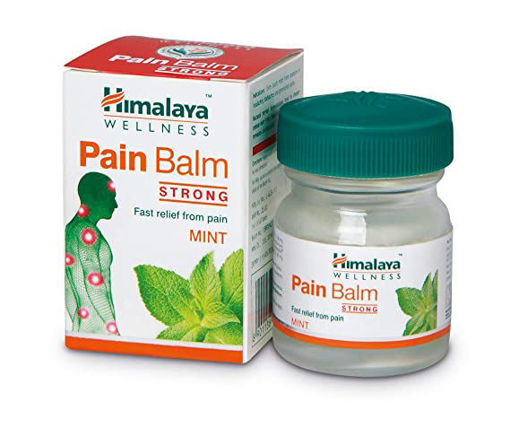 himalaya pain balm 10g-